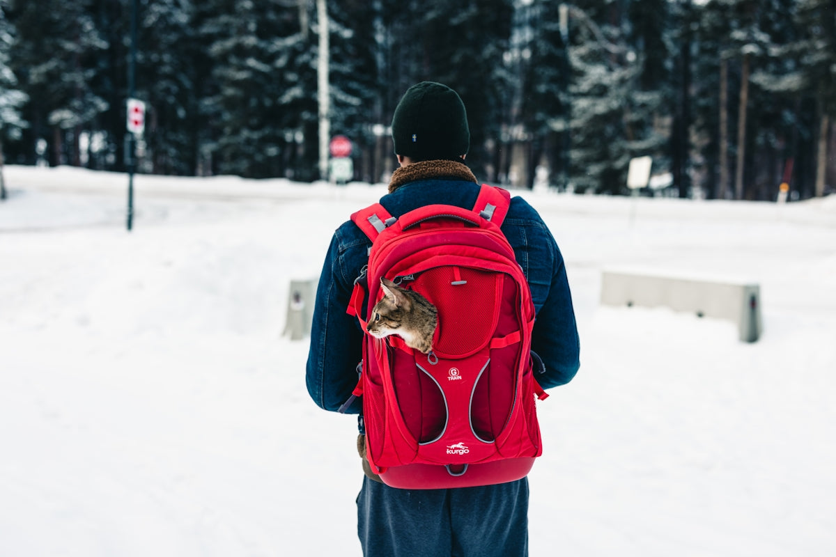 Animal Plush Backpacks That Are Perfect for Kids and Adults Alike